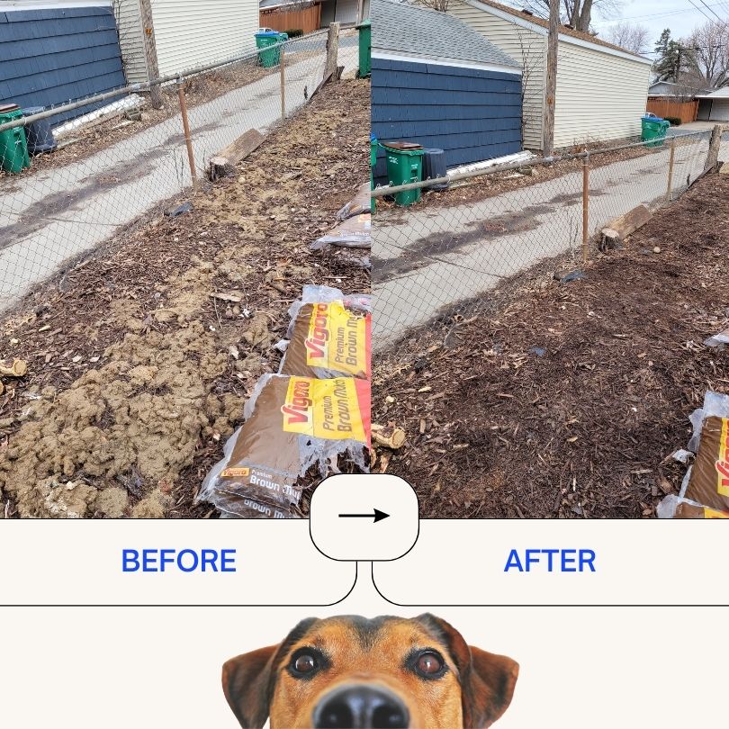 Spring Cleaning – Poo Force